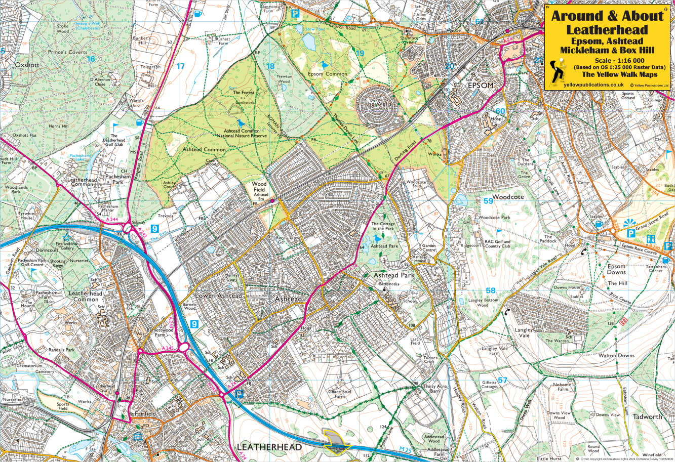 Leatherhead, Epsom, Ashtead, Mickleham & Box Hill Walking Map